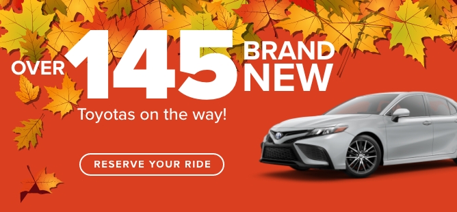 Honda - Toyota - Chevrolet - Kia - Subaru - Car Dealership & Service ...